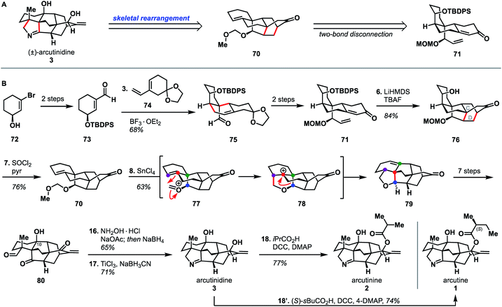 Retrosynthetic strategies and their impact on synthesis of arcutane ...