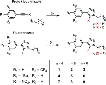 Transmembrane anion transport mediated by halogen bonding and hydrogen ...