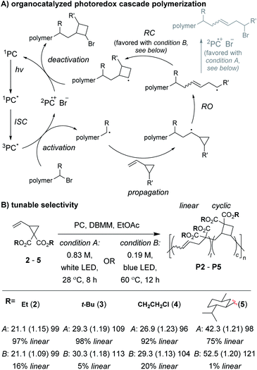 Cascade polymerizations: recent developments in the formation of ...