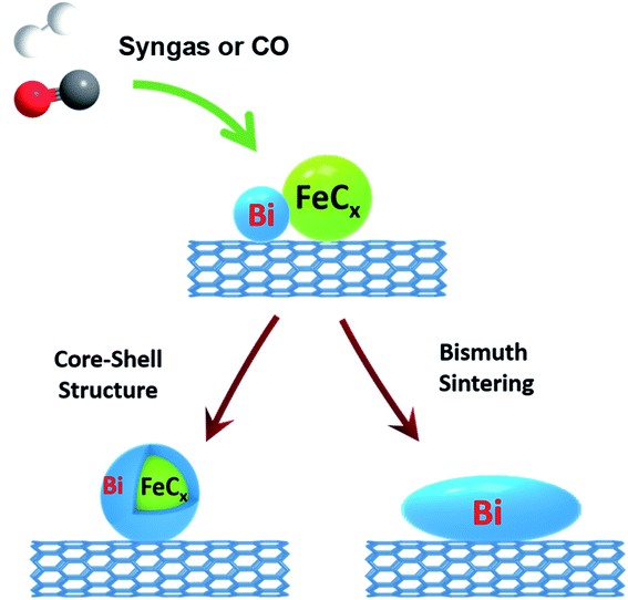 Mobility and versatility of the liquid bismuth promoter in the working ...