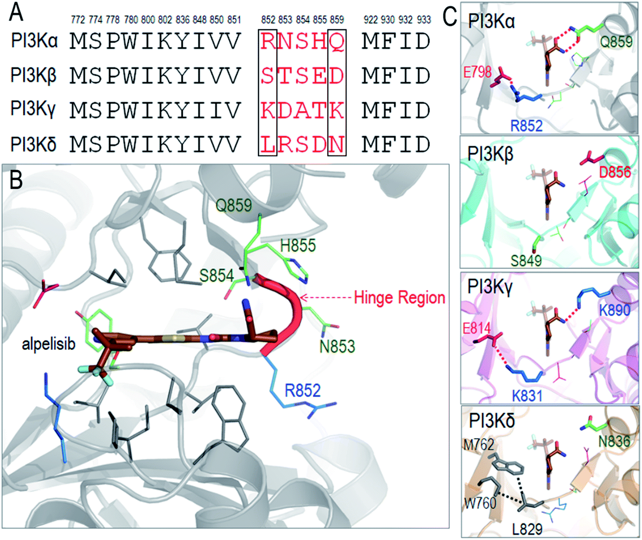 PI3K inhibitors: review and new strategies - Chemical Science (RSC ...