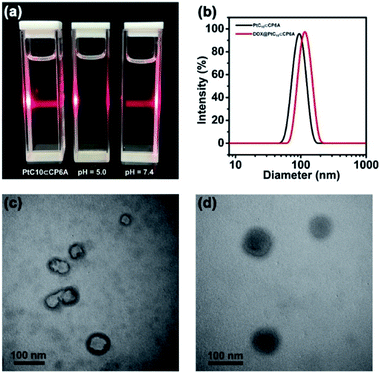Supramolecular combination chemotherapy: a pH-responsive co ...