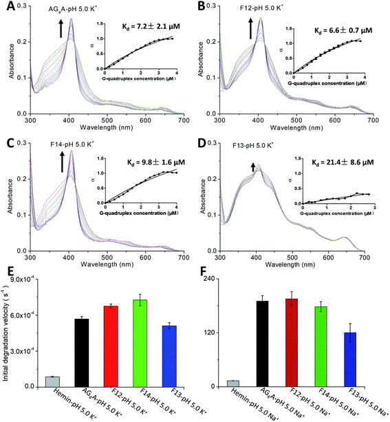 Investigation and improvement of catalytic activity of G-quadruplex ...