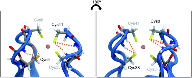 The rupture mechanism of rubredoxin is more complex than previously ...