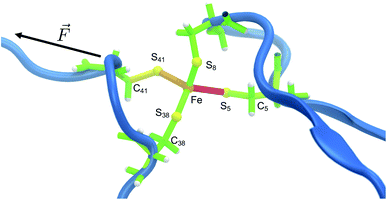 The rupture mechanism of rubredoxin is more complex than previously ...