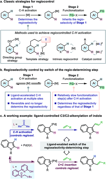 Regiocontrol in the oxidative Heck reaction of indole by ligand-enabled ...