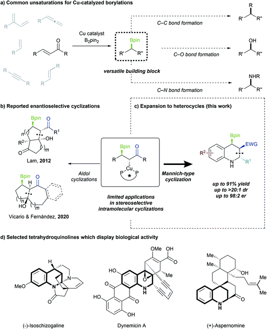 Enantio- and diastereoselective conjugate borylation/Mannich ...