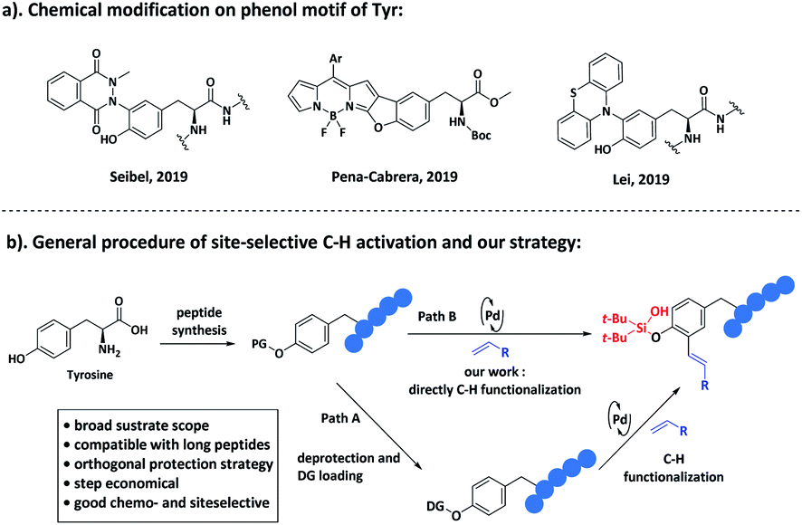 Silanol: a bifunctional group for peptide synthesis and late-stage ...