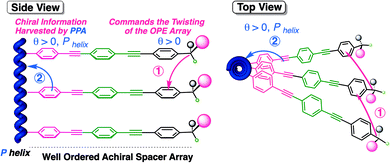 Chiral information harvesting in helical poly(acetylene) derivatives ...