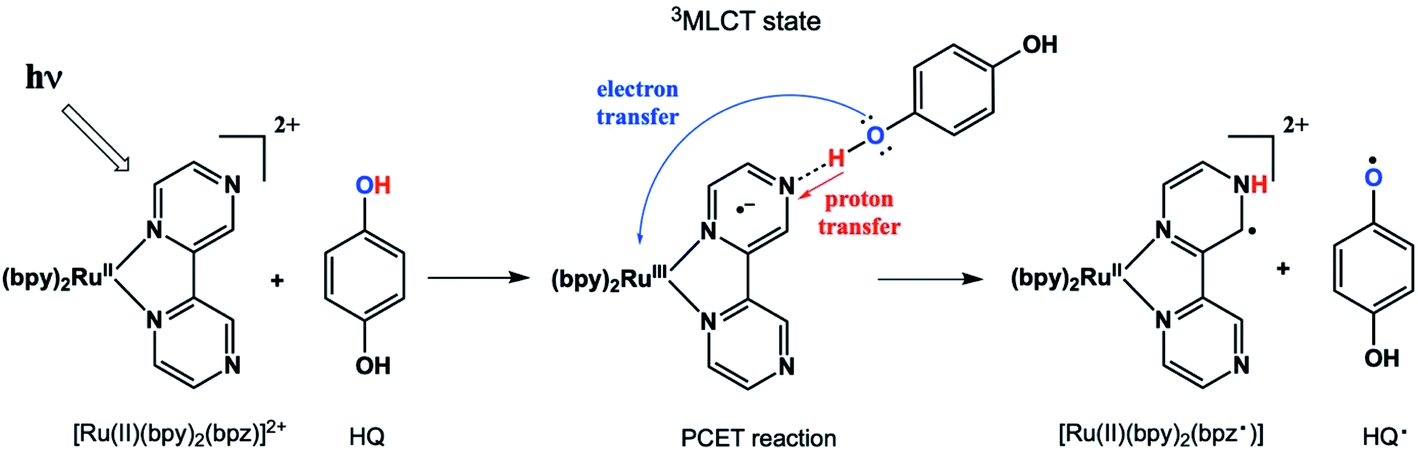 Anomalous chemically induced electron spin polarization in proton ...