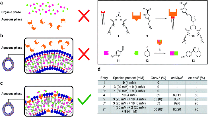 Dissipative self-assembly, competition and inhibition in a self ...