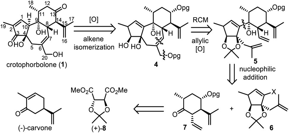 Total synthesis of crotophorbolone - Chemical Science (RSC Publishing ...