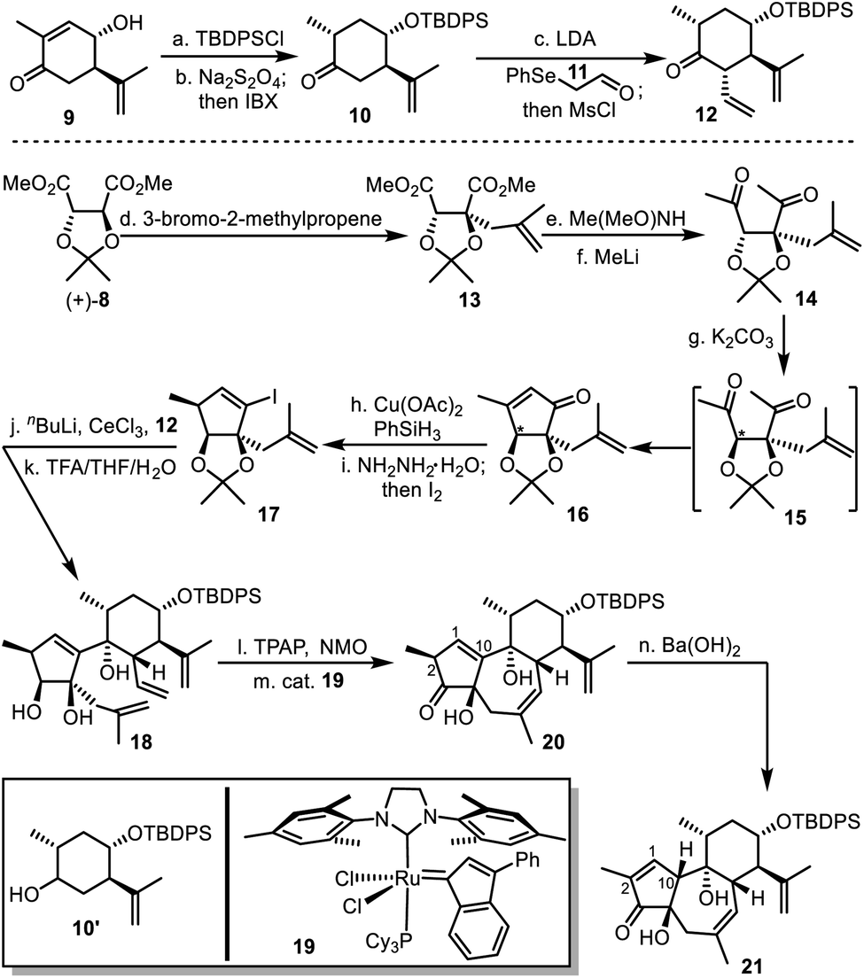 Total synthesis of crotophorbolone - Chemical Science (RSC Publishing ...