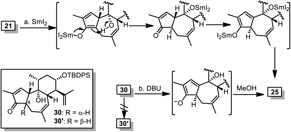 Total synthesis of crotophorbolone - Chemical Science (RSC Publishing ...