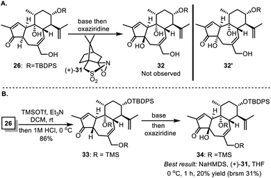 Total synthesis of crotophorbolone - Chemical Science (RSC Publishing ...