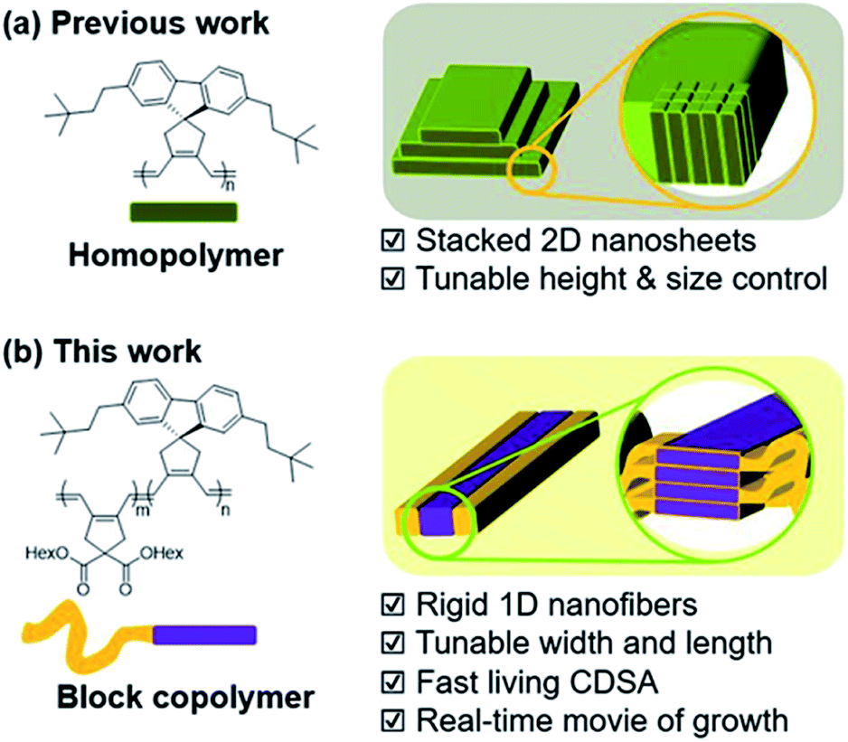 Rapid formation and real-time observation of micron-sized conjugated ...