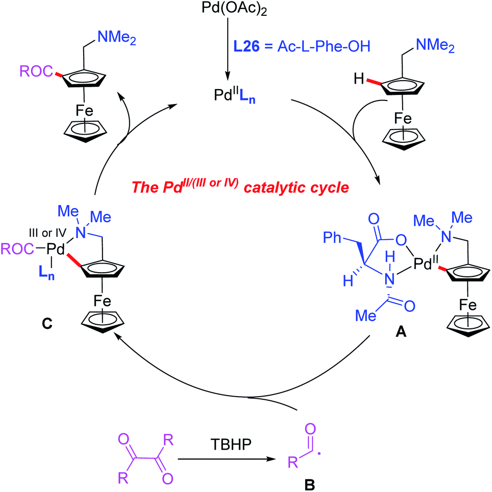 Palladium-catalyzed direct asymmetric C–H bond functionalization ...