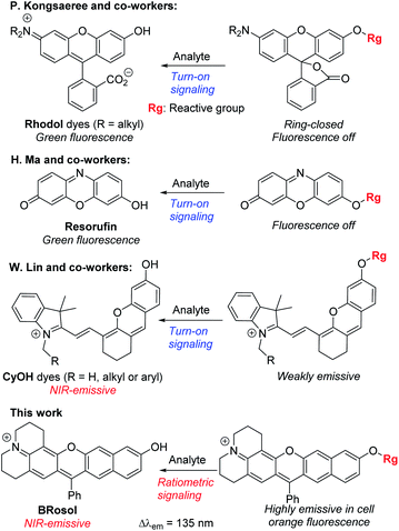 Development of photo- and chemo-stable near-infrared-emitting dyes ...