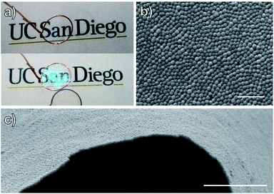 Free-standing metal–organic framework (MOF) monolayers by self-assembly ...