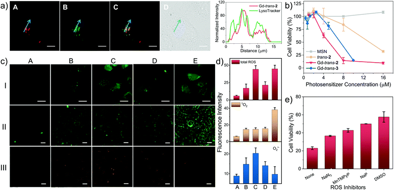 Rational design of an “all-in-one” phototheranostic - Chemical Science ...