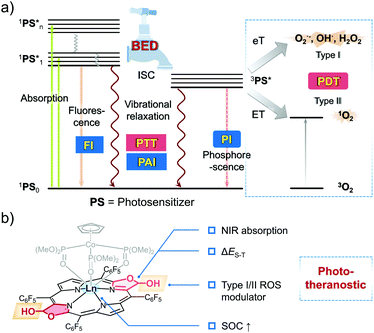 Rational design of an “all-in-one” phototheranostic - Chemical Science ...