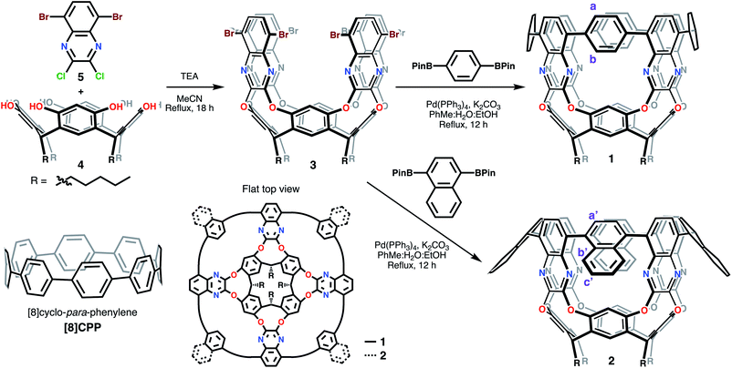 Tubularenes - Chemical Science (RSC Publishing) DOI:10.1039/D0SC03384G