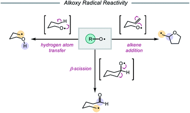 Catalytic generation of alkoxy radicals from unfunctionalized alcohols ...