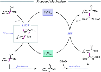 Catalytic generation of alkoxy radicals from unfunctionalized alcohols ...