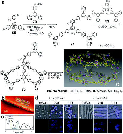 Over one century after discovery: pyrylium salt chemistry emerging as a ...