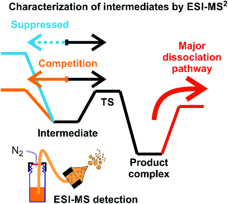 Identifying reactive intermediates by mass spectrometry - Chemical ...