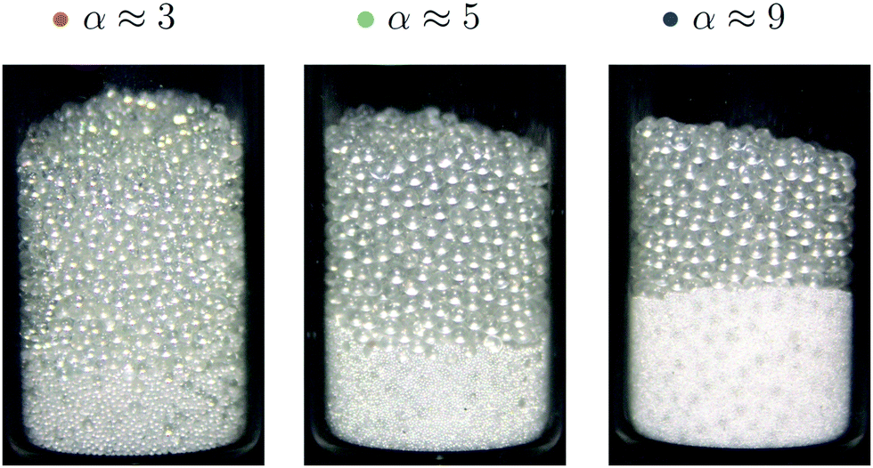 How size ratio and segregation affect the packing of binary granular ...