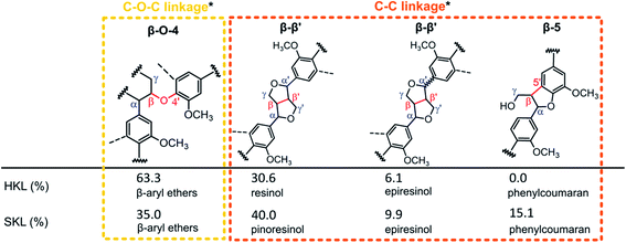 Hardwood versus softwood Kraft lignin – precursor-product relationships ...