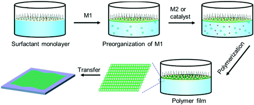 Two-dimensional conjugated polymer films via liquid-interface-assisted ...