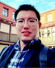 Two-dimensional conjugated polymer films via liquid-interface-assisted ...