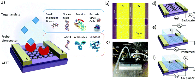 Graphene field-effect transistors as bioanalytical sensors: design ...