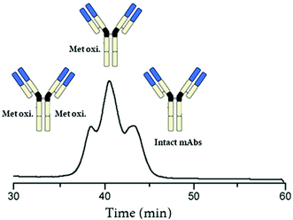 Multi-dimensional LC-MS: the next generation characterization of ...