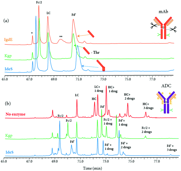 Multi-dimensional LC-MS: the next generation characterization of ...