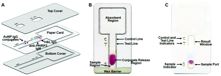 Lateral flow immunochromatographic assay on a single piece of paper ...