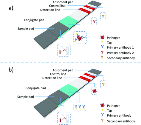 Commercially available rapid diagnostic tests for the detection of high ...