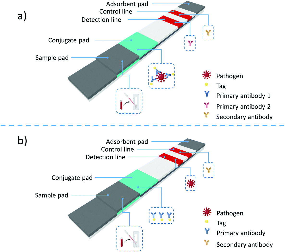 Commercially available rapid diagnostic tests for the detection of high ...