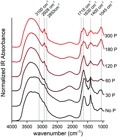 Diffuse reflectance infrared Fourier transform spectroscopy for a ...