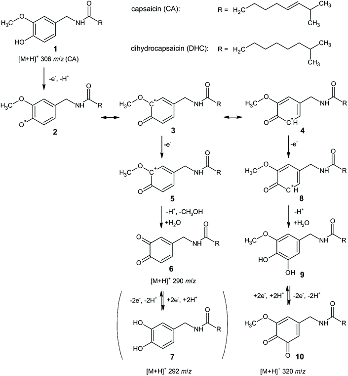 Electroanalytical overview: the pungency of chile and chilli products ...