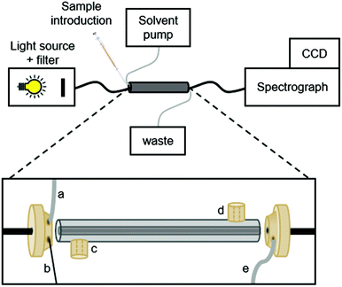 Characterization of a liquid-core waveguide cell for studying the ...