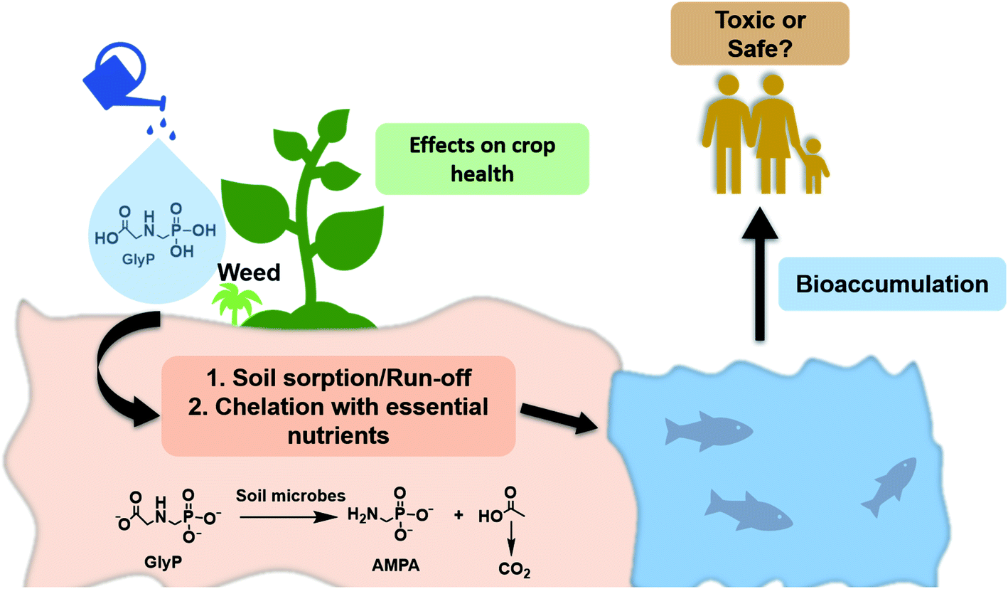 Detection of glyphosate with a copper( ii )-pyrocatechol violet based ...