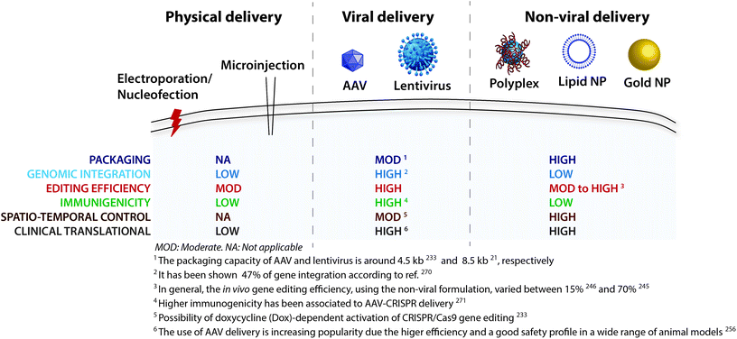 Revisiting gene delivery to the brain: silencing and editing ...