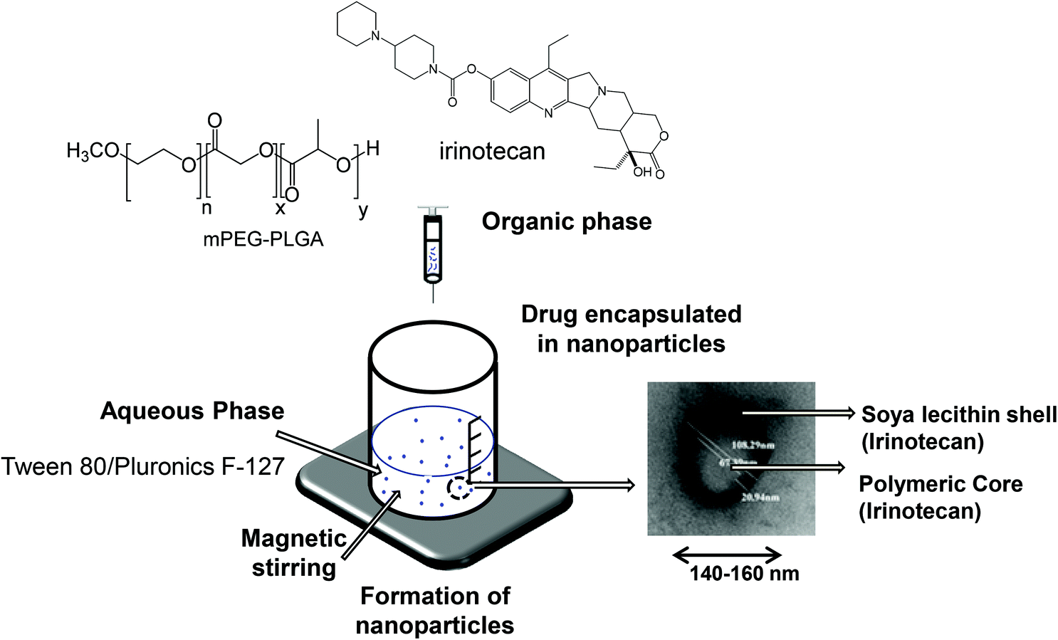 Green synthesis of methoxy-poly(ethylene glycol)- block -poly( l ...