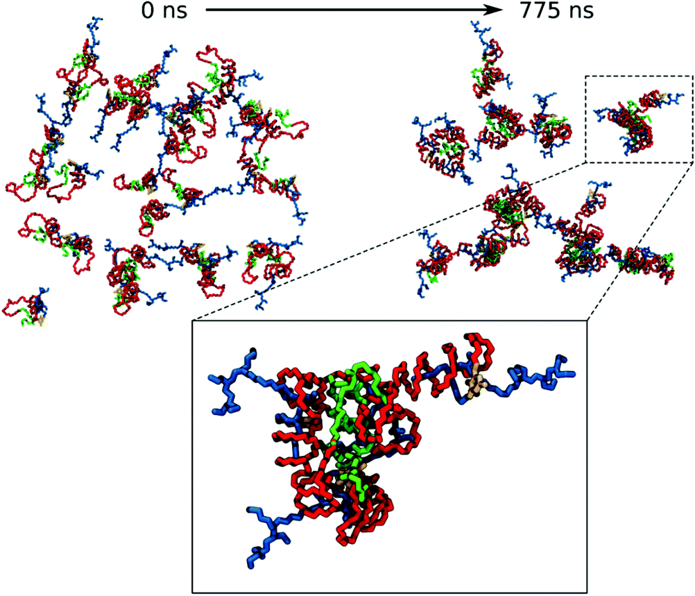 In silico study of PEI-PEG-squalene-dsDNA polyplex formation: the ...