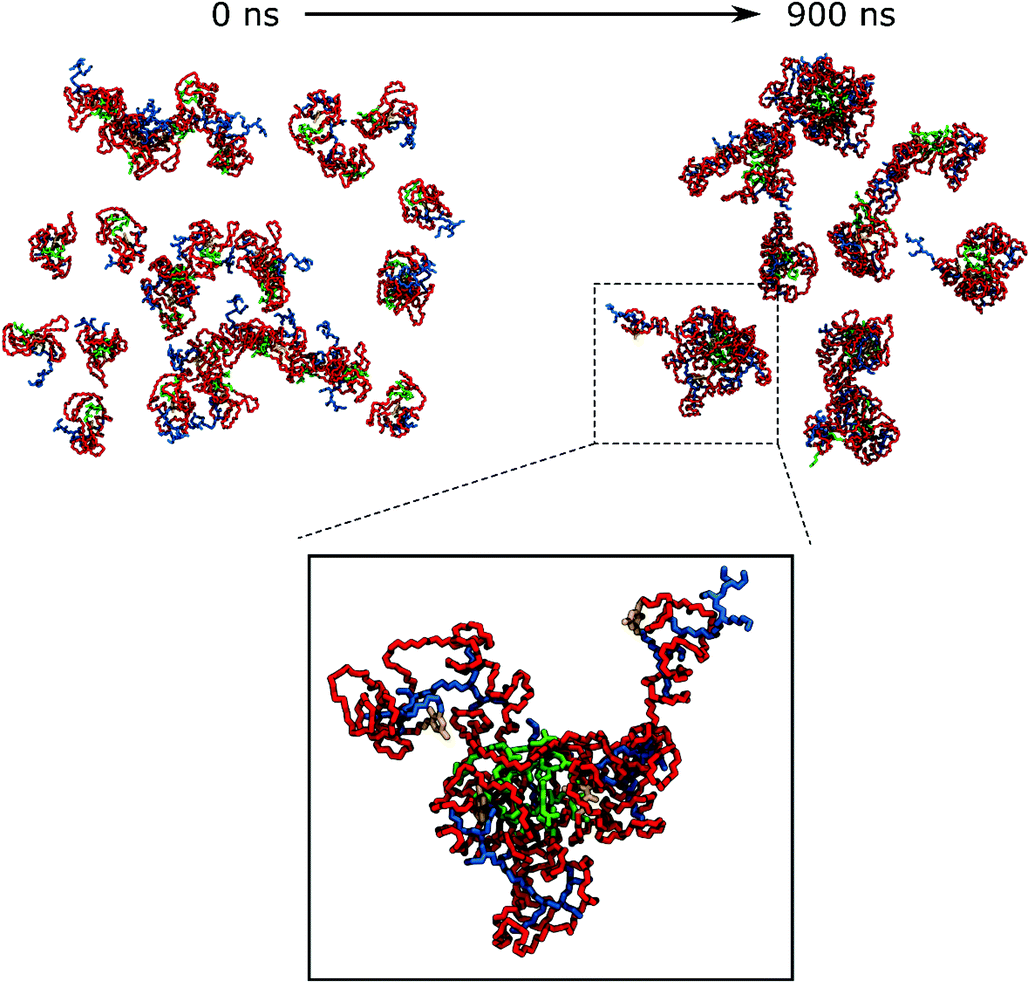 In silico study of PEI-PEG-squalene-dsDNA polyplex formation: the ...
