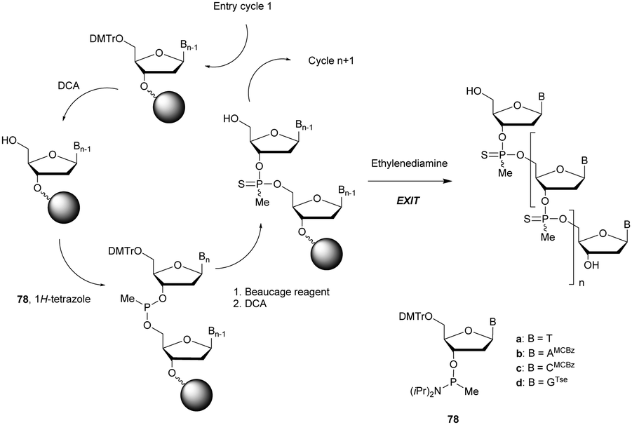 Modified internucleoside linkages for nuclease-resistant ...
