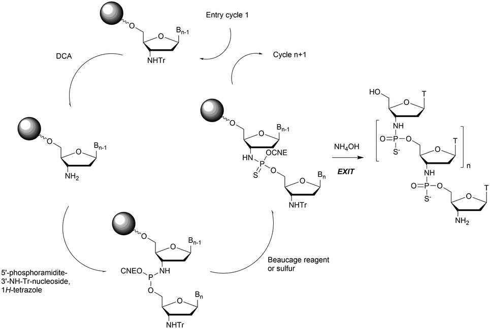 Modified internucleoside linkages for nuclease-resistant ...